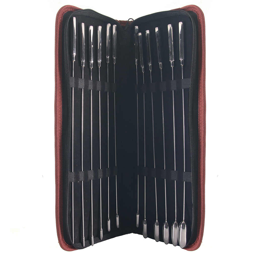 Stainless Steel 12 Pc. Rose Bud Sounding Set – PinkCherry