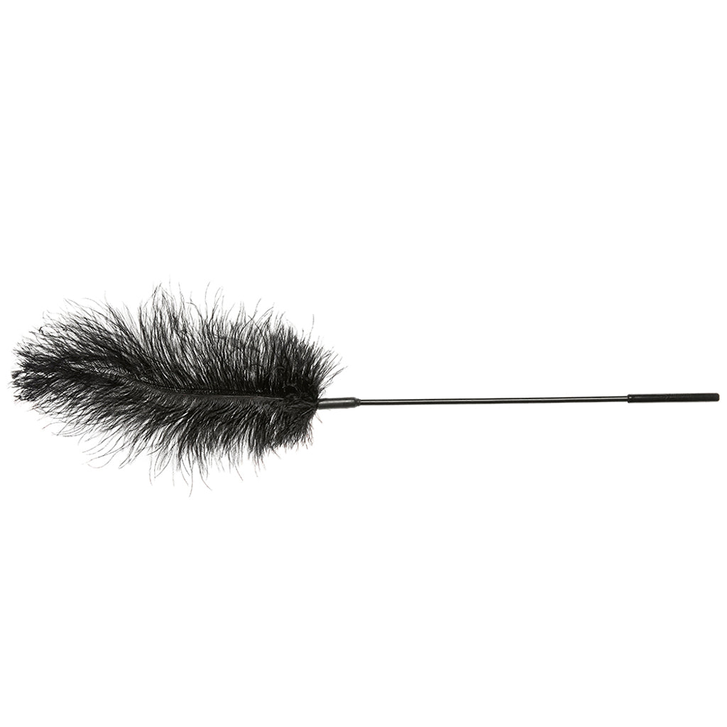 Ostrich Feather Body Tickler in Black – PinkCherry